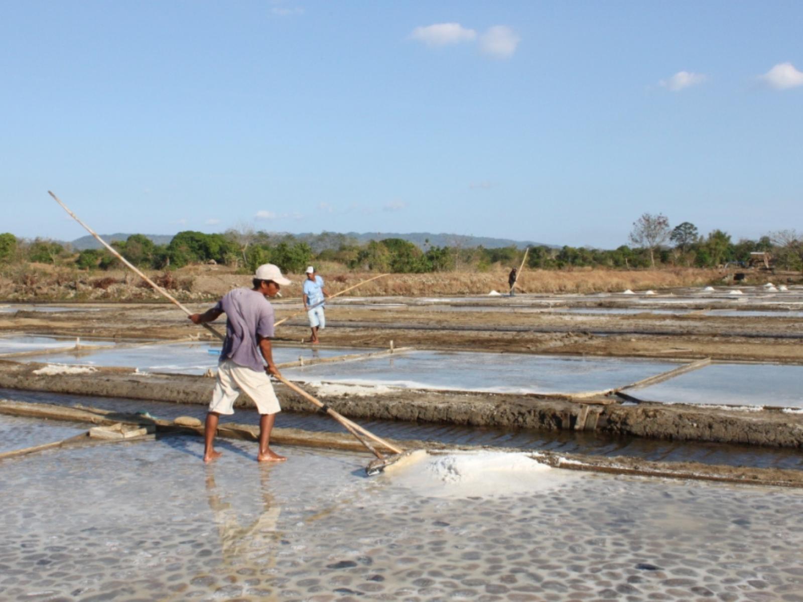 Integrated Gher Farming System | IFSS Portal