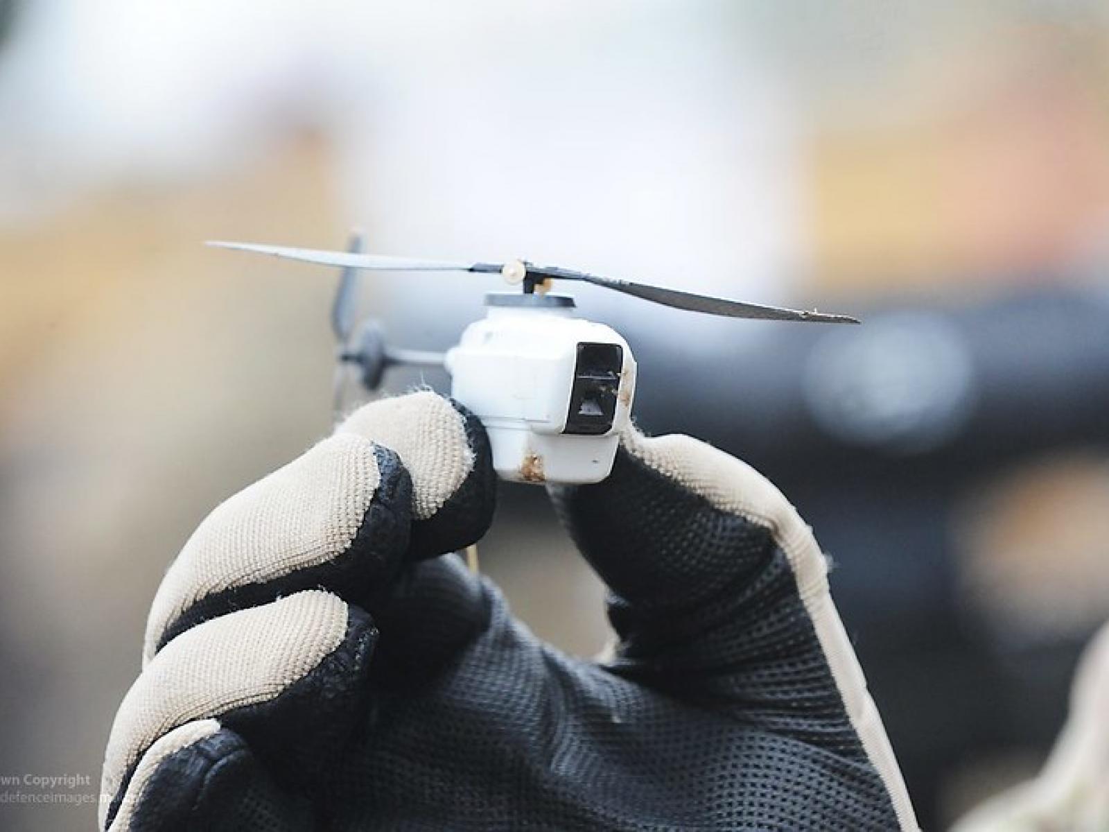 Nano-drones | IFSS Portal